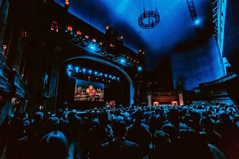 New Dropbear Film Brings A Koala Myth To The Big Screen Screenhub Australia Film