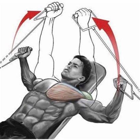 Упражнения на грудные мышцы Пикабу