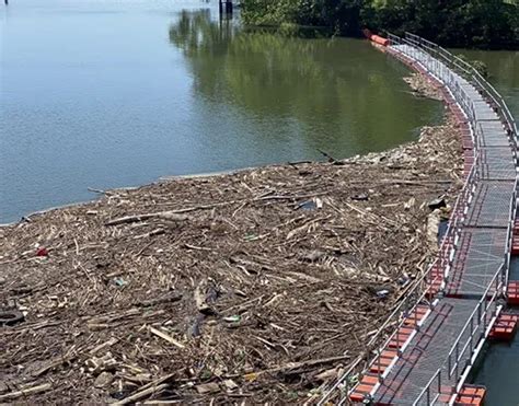 Floating Debris Barrier Systems Protect Hydropower And Dams