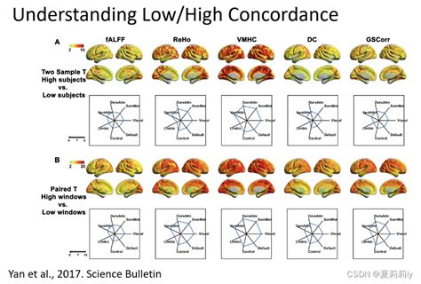 静息态功能磁共振成像rs Fmri原理与数据分析学习笔记（6 7）：mouse Data Processing And Dynamic