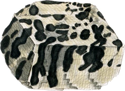 Ore Of Selenium British And Exotic Mineralogy