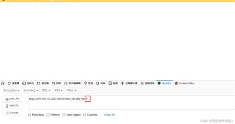 （15）web安全渗透测试网络安全 超详细 Access，mysql，mssql，postgresql，oracle手工和工具注入access和postgresql Csdn博客