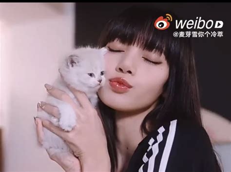 Lalice Updates L Fan Account On Twitter Lisa X Adidas Campus S