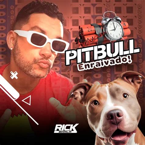 Pitbull Enraivado Arrochadeira Sua Música Sua Música