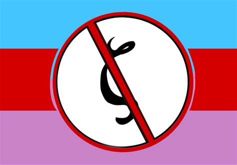 ˋanti Zoophile Flagˋ Anti Flag Straight Ally Flag Best Flags