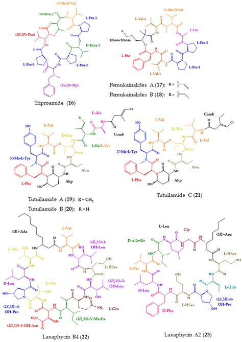 Molecules Free Full Text Absolute Stereochemistry Determination Of