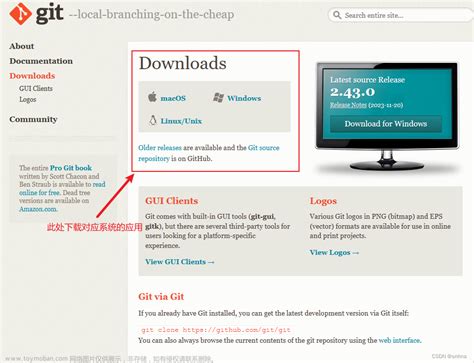 Git的配置、本地绑定github及基本使用 Toy模板网