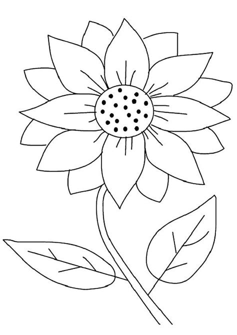 Curcubeu De Flori Planse De Colorat Plansa De Colorat