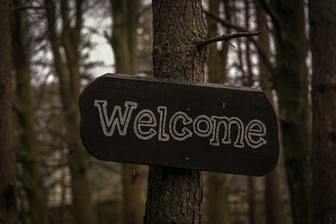 Portfolio Website