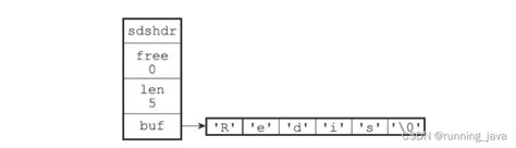 Redis Sds（简单动态字符串）sds动态字符串 Csdn博客