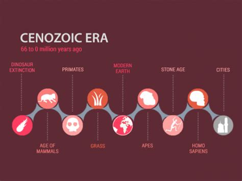 Paleozoic Era Diversification Of Life 540 To 252 Million Years Ago Earth How