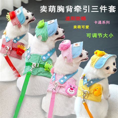 🚩雙11🚩寵物外出亮眼裝扮 帽子胸背牽引三合一 春夏寵物胸背帶牽引繩 貓咪狗狗衣服 郊遊鴨薯條粉熊套裝 紅書熱門同款 蝦皮購物