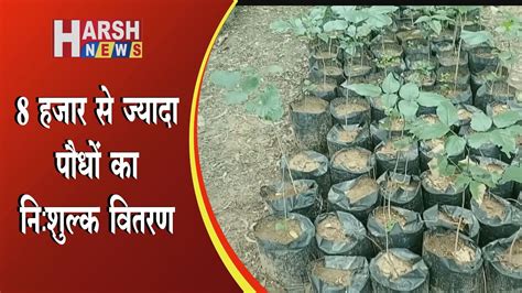 Raigarh News पौधा तुंहर द्वार योजना का जिले में दिख रहा अच्छा