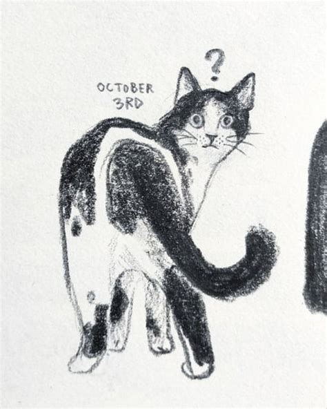Pin By 32 On 动物 Cat Sketch Illustration Art Cat Art