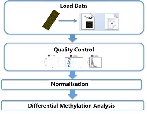 Github Tazinrahman1105050 Dna Methylation Dna Methylation Analysis Pipeline Using Limma