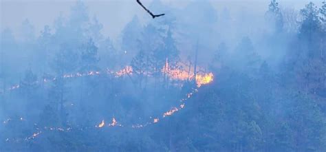 Incendios Forestales Amenazan áreas Protegidas