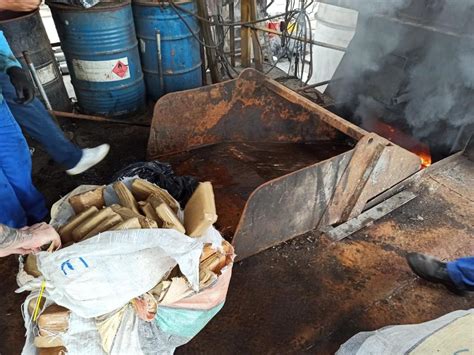 Polícia Federal Incinera Aproximadamente Duas Toneladas De Drogas
