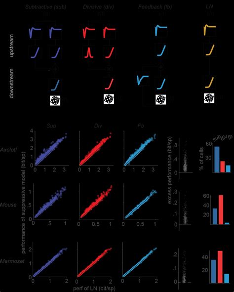 schematic of the models and their overall performance a structure of