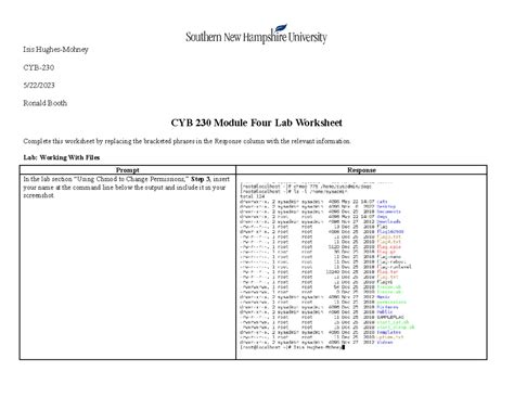 Cyb 230 Module Four Lab Worksheet Isis Hughes Mohney Cyb 522 Ronald Booth Cyb 230 Module