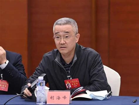 浙江代表团讨论二十大报告：把二十大作出的重大决策部署付诸行动见之于成效凤凰网