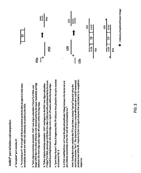 Method For Assembly Of Polynucleic Acid Sequences Using Phosphorothioate Bonds Within Linker