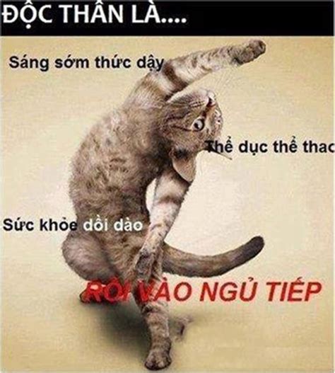 199 Hình ảnh Hài Hước Nhất Thế Giới Khiến Bạn Cười Rớt Hàm