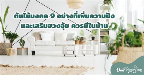 ต้นไม้มงคล 9 อย่างเพิ่มความปังและเสริมฮวงจุ้ยที่ควรมีในบ้าน