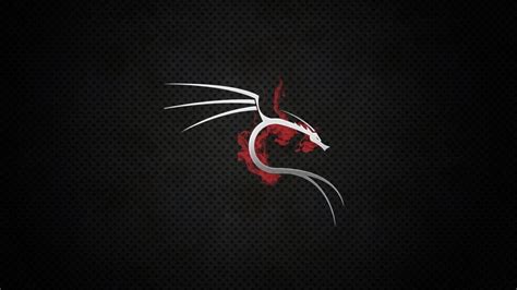 Kali Linux Nedir Ve Ne İçin Kullanılır
