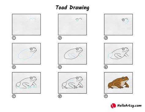 Toad Drawing Helloartsy