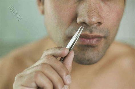 人到中年，为啥鼻毛总往外“窜”？科普小知识资讯频道东方养生