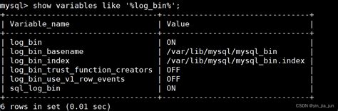 mysql日志（错误日志、binlog日志、查询日志、慢日志） mysql查看日志 csdn博客