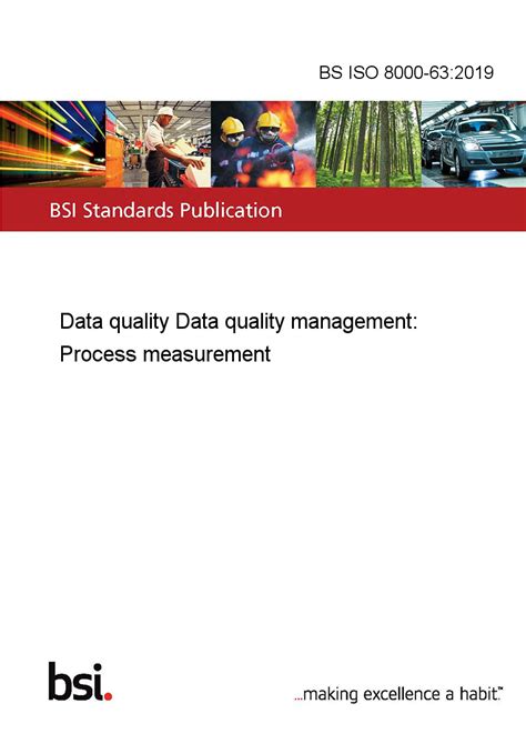 Bs Iso 8000 63 2019 Data Quality Data Quality Management Process
