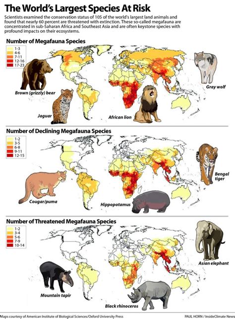 Save The Animals Save The Planet Inside Climate News