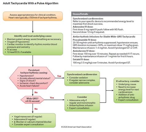 Algorithms American Heart Association Cpr And First Aid