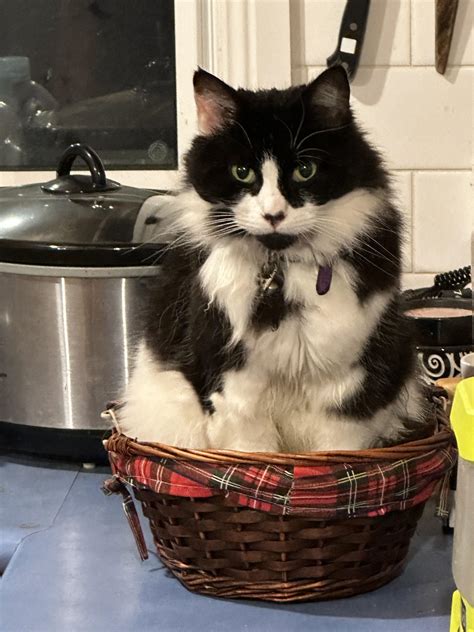 My Pussy Looks A Little Pudgy Rbadwomensanatomy