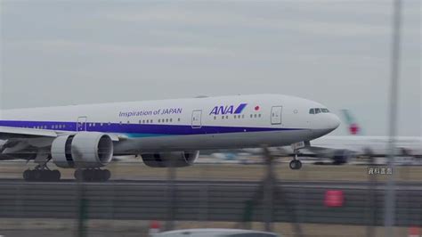 美籍男乘客咬空服員 全日空航班被迫折返羽田