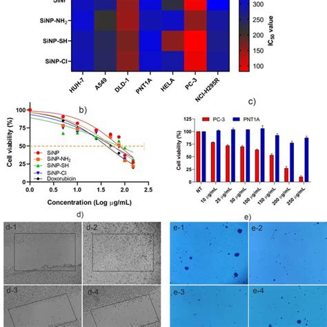 Cytotoxic Properties Of SiO 2 NPs And SiO 2 NPs Derivatives A Heat Download Scientific