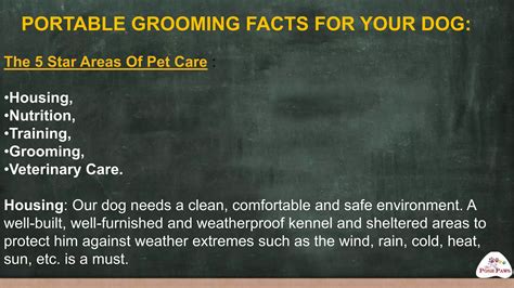 Portable Grooming Facts For Your Dog Ppt