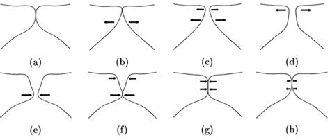Vocal Fold Vibration Cycle Exam 4 Diagram Quizlet