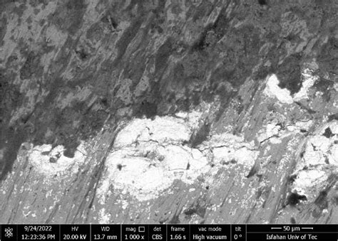 Cracking Of Wc Particles On The Edge Of The Coating Download Scientific Diagram