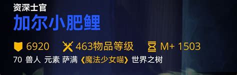 求亚服世界之树一个正经的联盟工会 Nga玩家社区