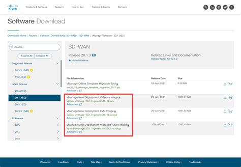 Cisco SD WAN Lab Options