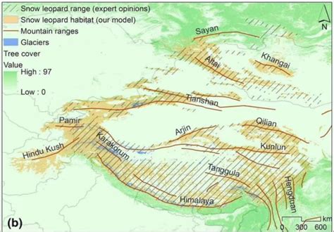 Economist With A Passion For Snow Leopards And Ecosystems Defended
