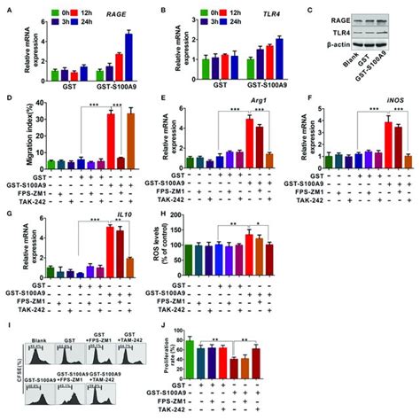 The Expression Of S100a9 Protein In Crc A Representative Ihc