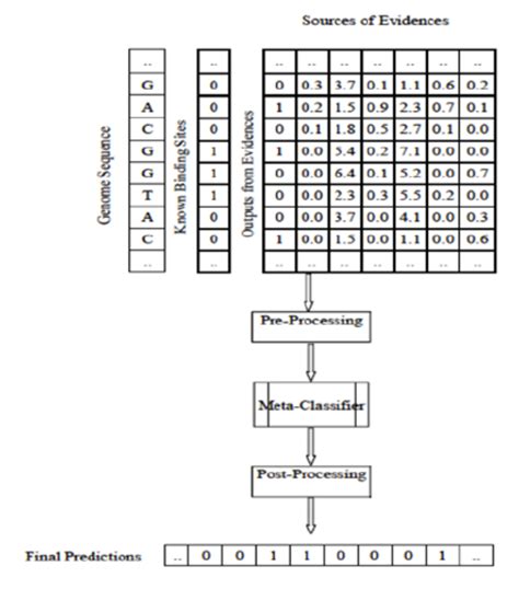 At Each Position In The Genome Sequence We Have An Annotation And Download Scientific Diagram