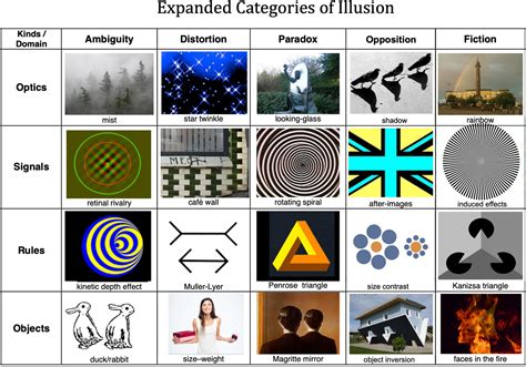 Discover Partial Foresight Illusion A Psychological Bias We All