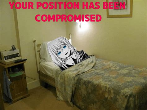 dear anti gex group r oshinokomemes