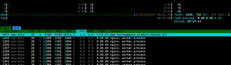 如何使用 Ps、top、htop 和 Atop 命令检查 Linux 中正在运行的进程 全栈开发 如何使用 Ps、top、htop 和 Atop 命令检查 Linux 中正在运行的进程 全栈开发