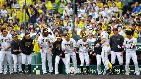 阪神打線爆発で先発全員安打 投手の西純も四回に中前打 佐藤輝は3ラン＆満塁弾で7打点阪神タイガースデイリースポーツ Online