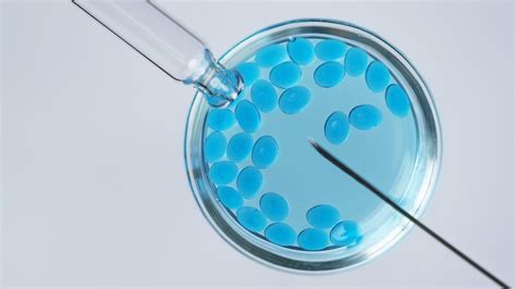 Ai Transforms Ivf At Abu Dhabis Leading Fertility Conference